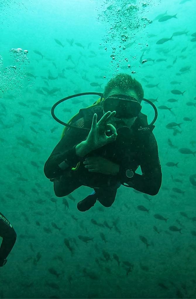 Diving in Galapagos Islands: Gordon Rocks | Blu Galapagos